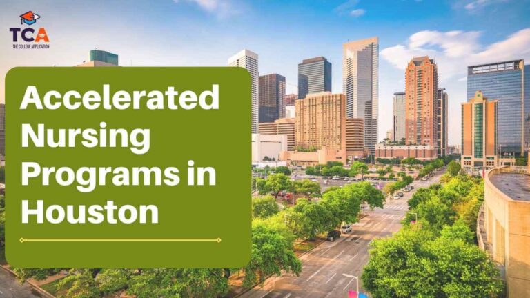 4 Best Accelerated Nursing Programs in Houston- 2024